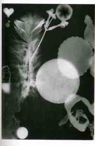 Photogrammes lumière et couche photosensibleArt du collage assemblage ...